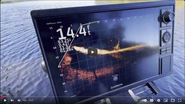 - The Live Scanner®